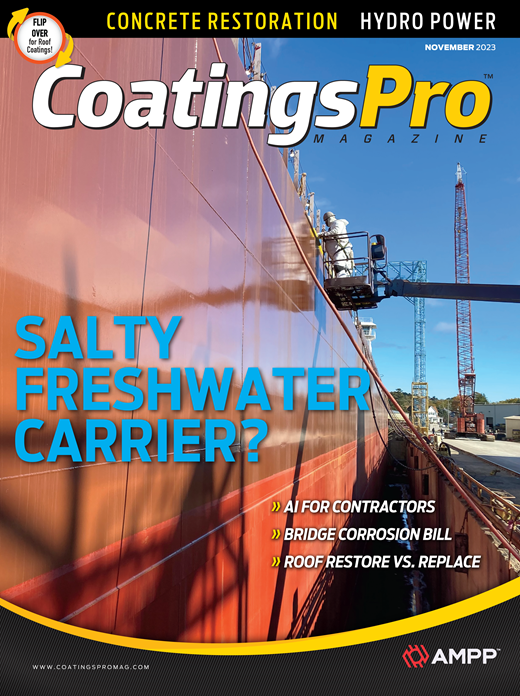 The Case of the Coating Blister Failures on Interior Steel Door Frames ...