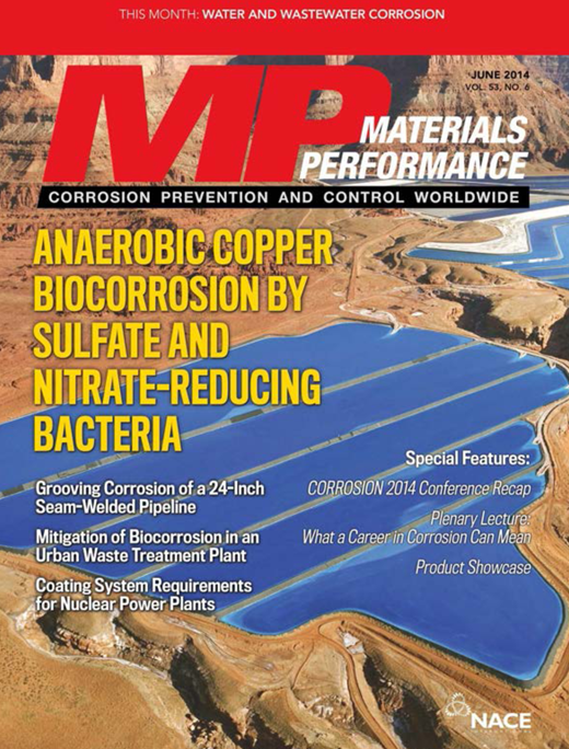 Volume 53 Issue 6 | Materials Performance | Association for Materials ...